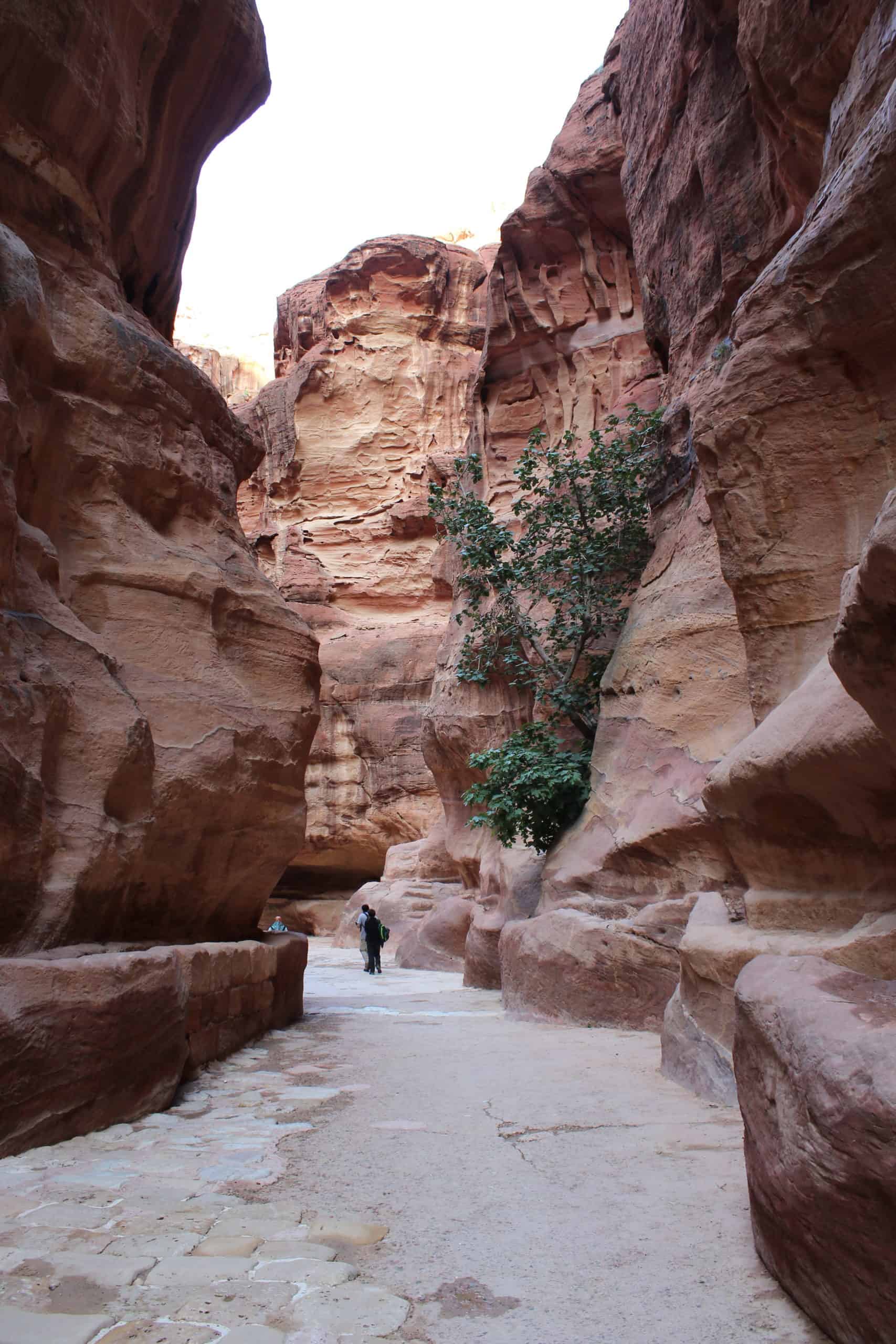 Guide Complet pour une Visite Inoubliable de Pétra en Jordanie